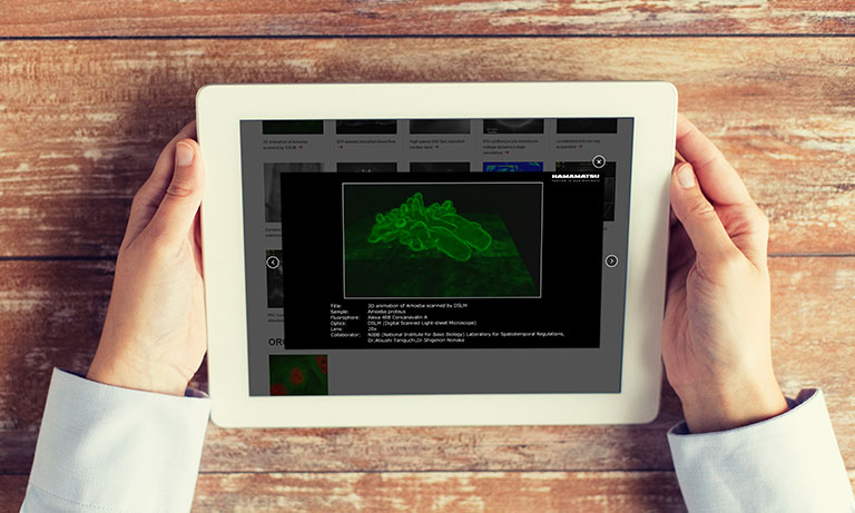 Scientific camera | Hamamatsu Photonics