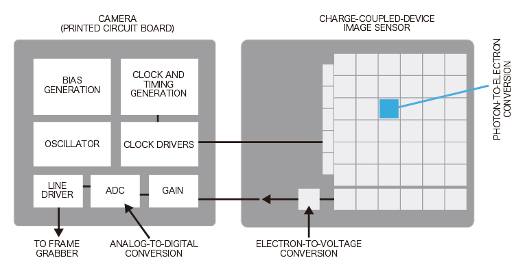 A visual guide to CCD vs. EM-CCD vs. CMOS | Hamamatsu Photonics